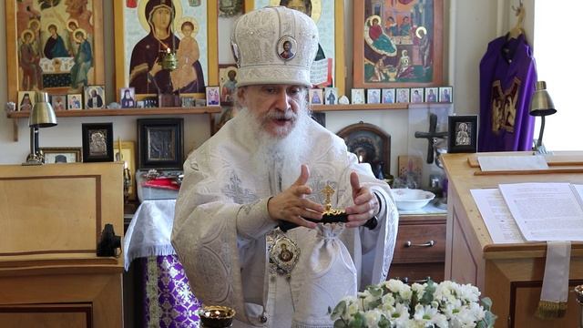 Проповедь епископа Амвросия (Тимрота) в неделю 7-ю по Пасхе, 1 июня 2025