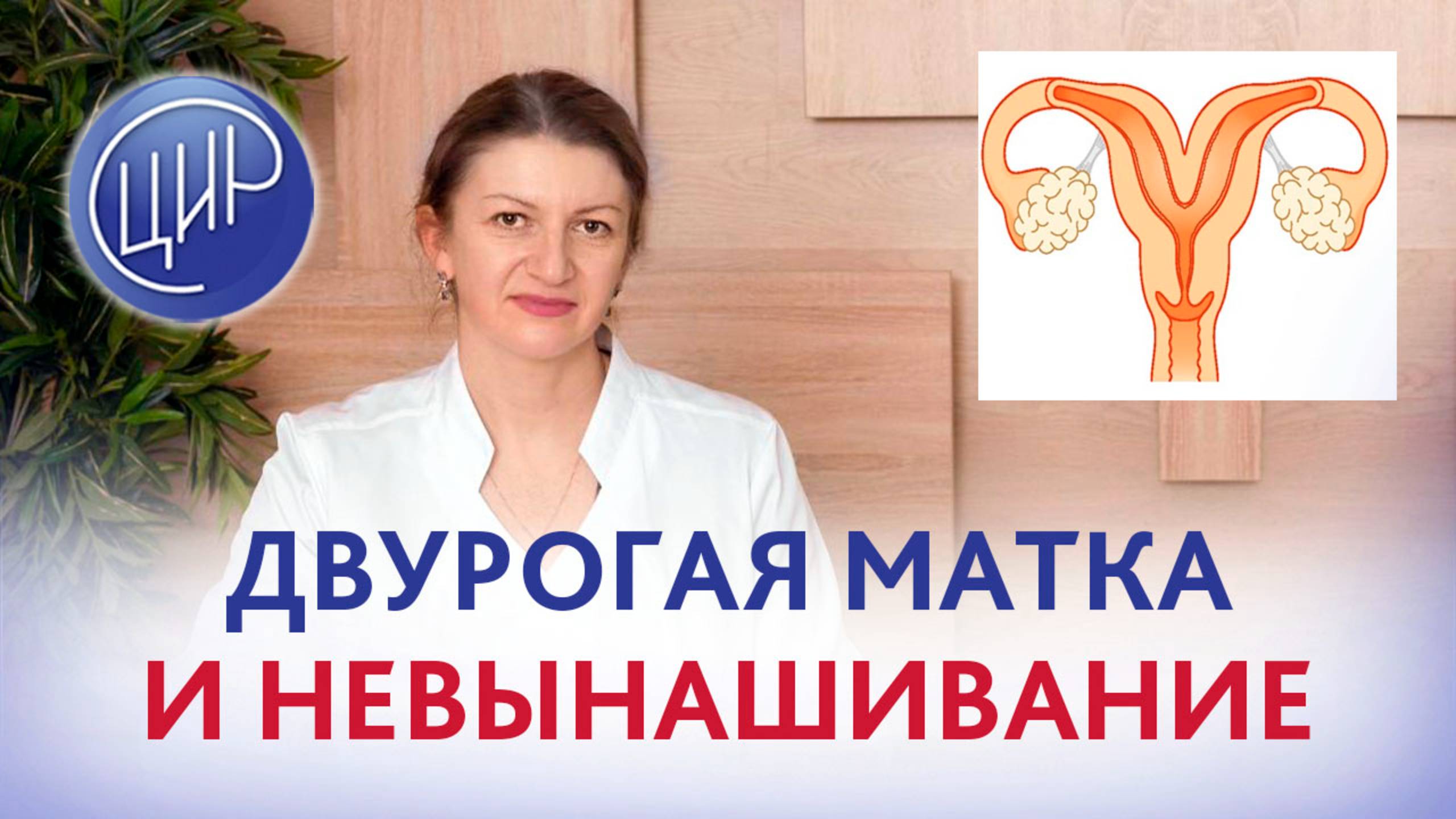Двурогая матка, невынашивание и ненаступление беременности. Дементьева С.Н.