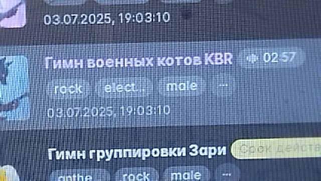 гимн котов KBR 8