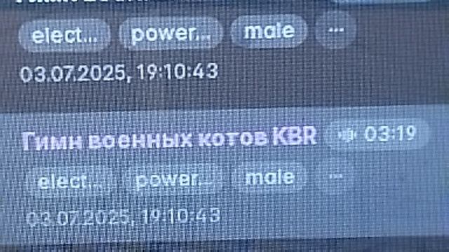 гимн котов KBR 9