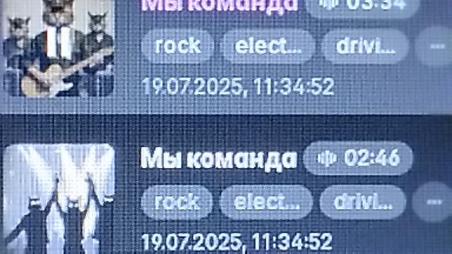 гимн котов KBR 21