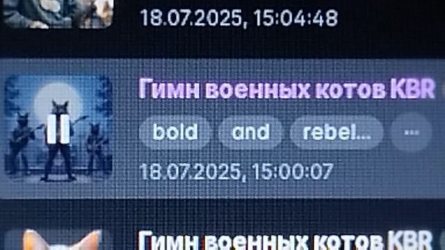 гимн котов KBR 20