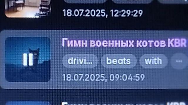 гимн котов KBR 19