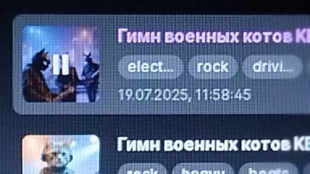 гимн котов KBR 23
