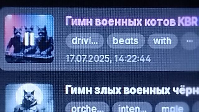 гимн котов KBR 17