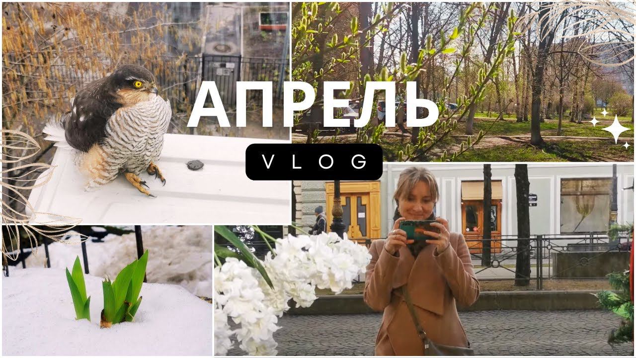 vlog 28 Апрельская пятиминутка. ЯСТРЕБ! Врачи. Погодные катаклизмы.