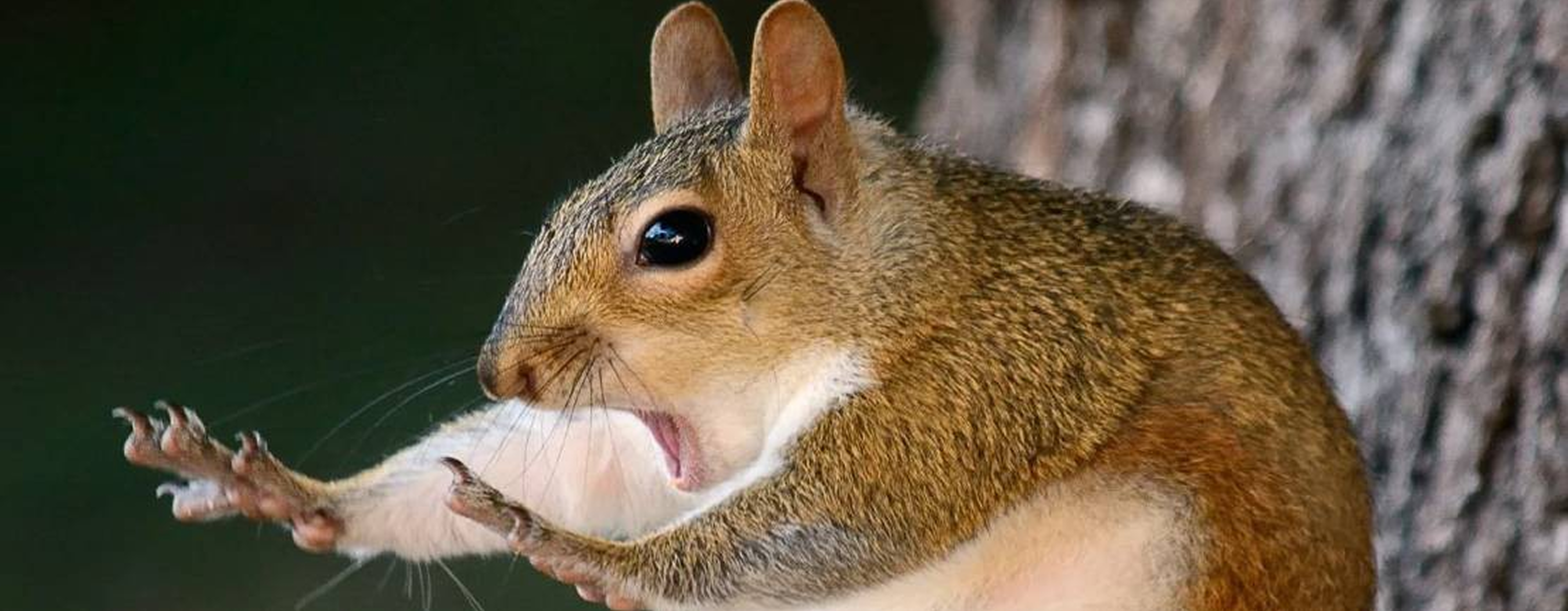 Короче, смотри!