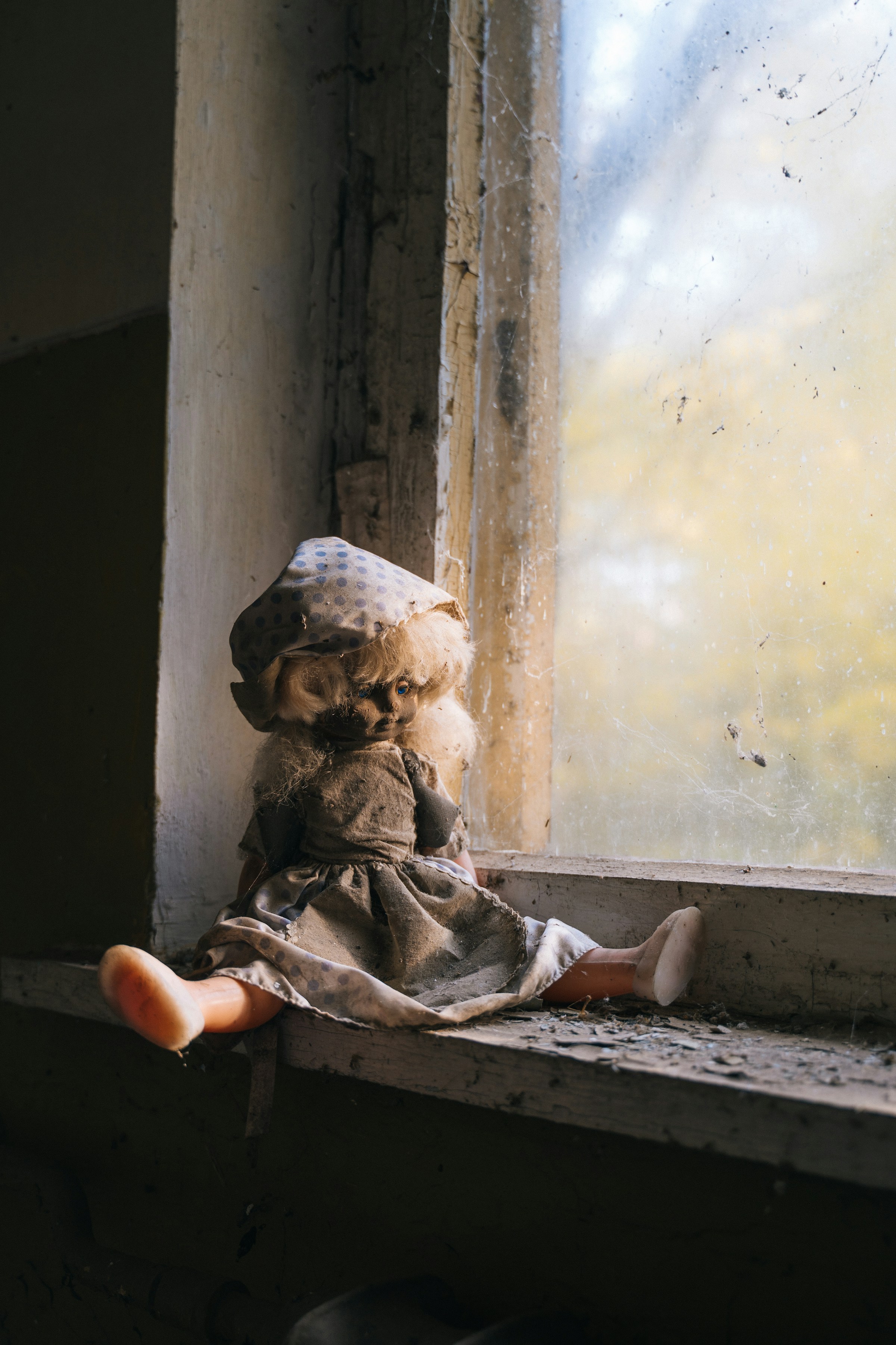 Реборны и их мир