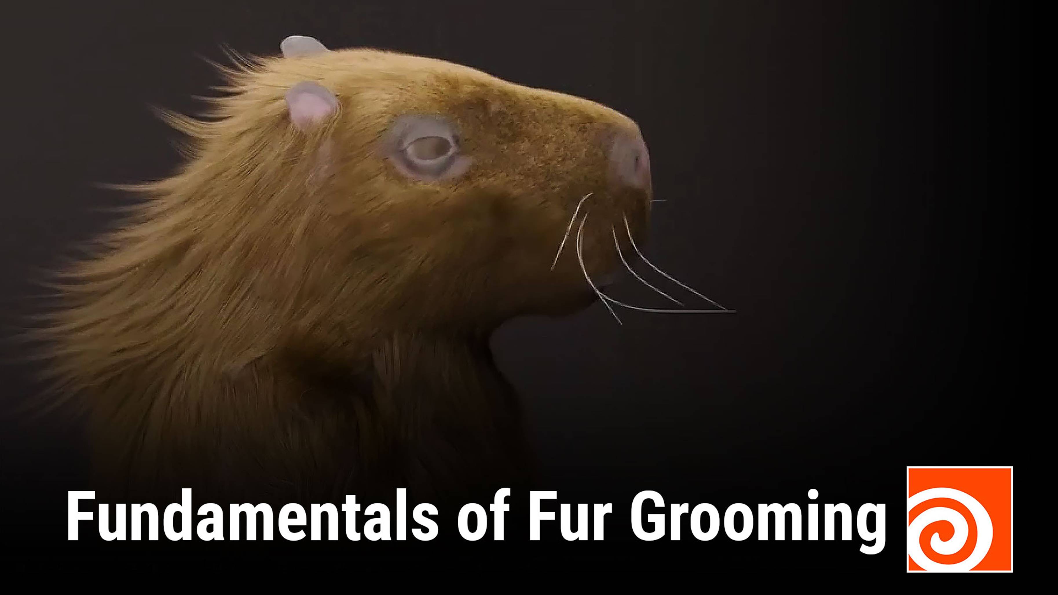 Плейлист Fundamentals of Fur Grooming in Houdini – смотреть онлайн все 16 видео от "Brain ...