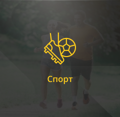 Спорт