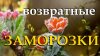 Урожайный сад и огород_Возвратные заморозки. Узнаем проверен