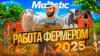 TheWashington_ФЕРМЕР НА MAJESTIC RP