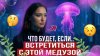 Екатерина_Что будет, если встретиться с этой медузой?