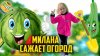 vika_lifestyle_Милана сажает огород