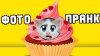 Пушистая Банда_ФОТОКАБИНКА ДЛЯ КОТОВ
