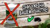 сад огород цветник_Слизни на участке