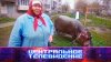 «Центральное телевидение». Выпуск от 7 июня 2025 года