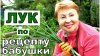 У Светланы ЛОДиСАД_Бабушка учила -не пропусти момент с луко