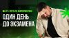 Иван Викторович | Информатика_Один день до экзамена | ЕГЭ-20