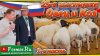 ФЕРМЕР.RU_Овцеводство России 2025