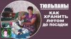 Любимая Усадьба_Как хранить тюльпаны до осени