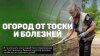 КУРСКИЕ ИЗВЕСТИЯ_Поработаю в огороде и не так скучаю