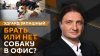 Эдгард Запашный. Ранение китов в Териберке, экодуки и вымира