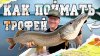 Мир Рыболова_КАК В МАГАЗИНЕ!!! ЩУКА БОЛЬШЕ 10 КГ!!!!! ЛОВИМ
