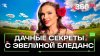 Телеканал 360_Мастер-классы по садоводству
