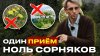 L.BURO_Участок без сорняков