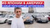 СОУЧАСТНИКИ_САМЫЙ ПОПУЛЯРНЫЙ ЯПОНСКИЙ АВТОМОБИЛЬ В АМЕРИКЕ