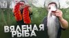 Тихон Готовь и Путешествуй_Находка для рыбаков