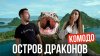 Поехали_Комодские Вараны