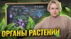 Биология ОГЭ 2026 Умскул Органы растений | Что нужно знать