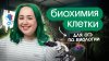 Мира Леви  БИОХИМИЯ КЛЕТОК ДЛЯ ОГЭ