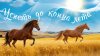УСПЕТЬ ДО КОНЦА ЛЕТА_промобаннер 1