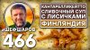 ШЕФ ШАРОВ_Кантарелликейтто. Финляндия. Как приготовить самый