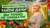 Агрофирма СЕМКО_702. УЧАСТОК-МЕЧТА В АРЗАМАСЕ. Томат-рекордс
