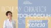 Доктор Ирина Мироновна_Почему снижается трансферин после при