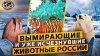 Русское географическое Красное и черное | @rgo_films