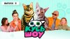 КУСЬ-ШОУ. ПРЕМЬЕРА НОВОГО СЕЗОНА. Выпуск 5 - бенгальские кот