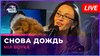 Авторадио_MIA BOYKA - Снова Дождь (LIVE @ Авторадио)