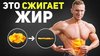 Денис Сорокин_Почему 90% Людей НИКОГДА Не Похудеют? (эти пр