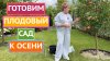 Садовый Гид Лариса Зарубина_ВАЖНЫЕ ЭТАПЫ ПОДГОТОВКИ ПЛОДОВОГ