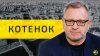 ЭМПАТИЯ МАНУЧИ_Юрий Котенок: военкор, армия и пропаганда ///
