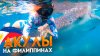 Bigtripvlog_Столкнулась с АКУЛОЙ! ЭТО СТРАШНО? Филиппины. Т