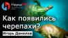 НаукаPRO Откуда взялись черепахи