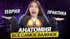 Биология ЕГЭ 2026 Умскул Анатомия: самое важное для ЕГЭ