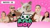 Кусь Шоу_Кусь-шоу. Выпуск 10 - бурманская кошка
