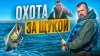 Артем Пеньковский_Охота за ЩУКОЙ